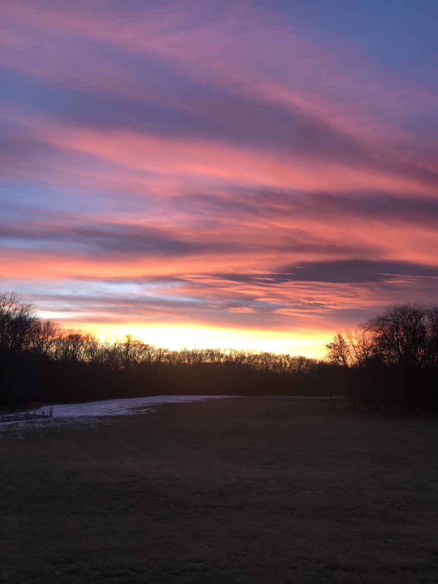 Beautiful, All-Natural Backdrop - Country Lane Lodge