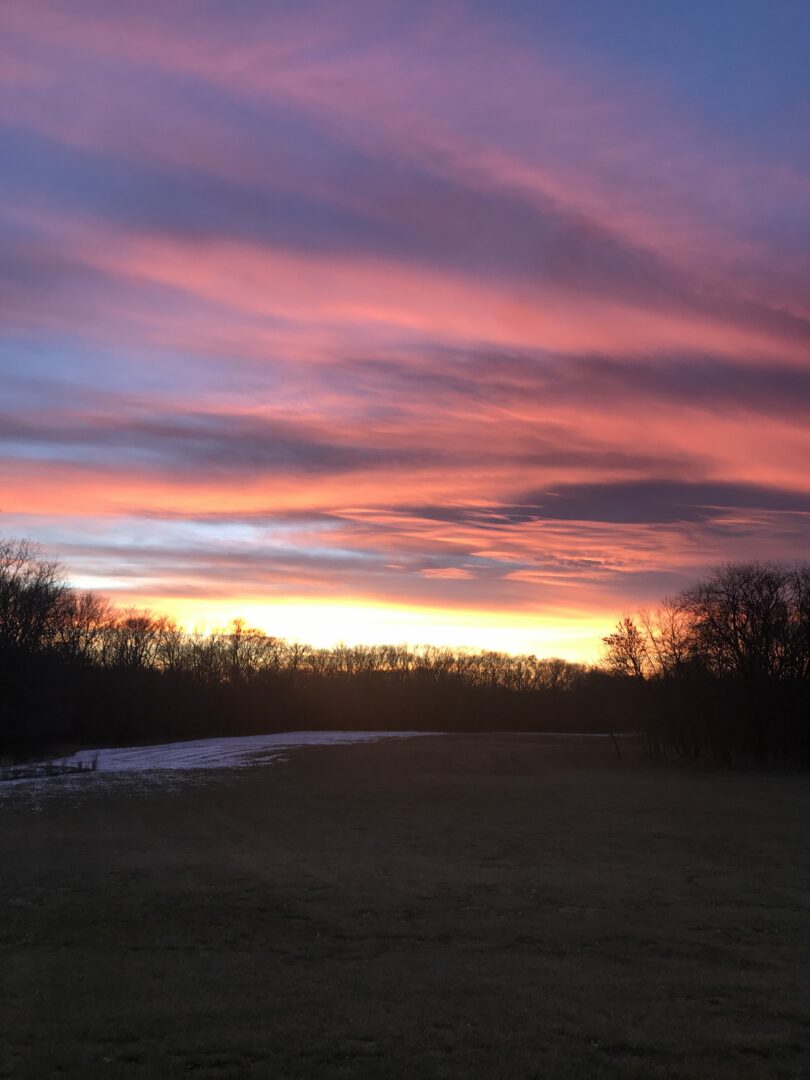 Beautiful, All-Natural Backdrop - Country Lane Lodge
