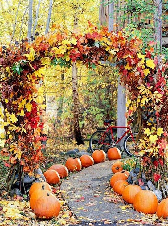 Use pumpkins to line the aisle to add a little fall to your day ...